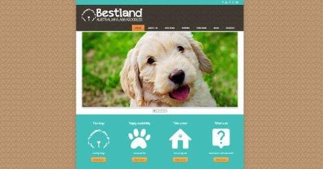 Bestland Australian Labradoodles